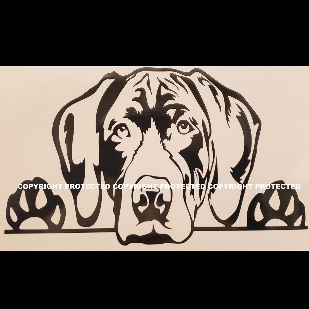 Peeking Lab Sticker Decal, Labrador Retriever, Stick on Car, Truck ...