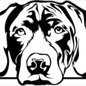 Peeking Lab Sticker Decal | Labrador Retriever | Stick on Car, Truck ...