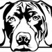 Peeking Lab Sticker Decal Labrador Retriever Stick on Car, Truck, Van ...