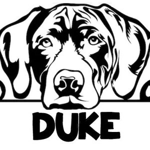 Peeking Lab Sticker Decal | Labrador Retriever | Stick on Car, Truck ...