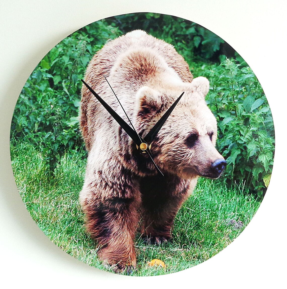 Bear Wall Clock - Decoupage Photo Clock - Brown Bear Clock - Wild ...