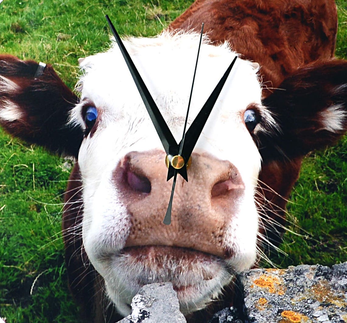 Cow Wall Clock - Decoupage Photo Clock - Brown Calf Clock - Farm Animal ...