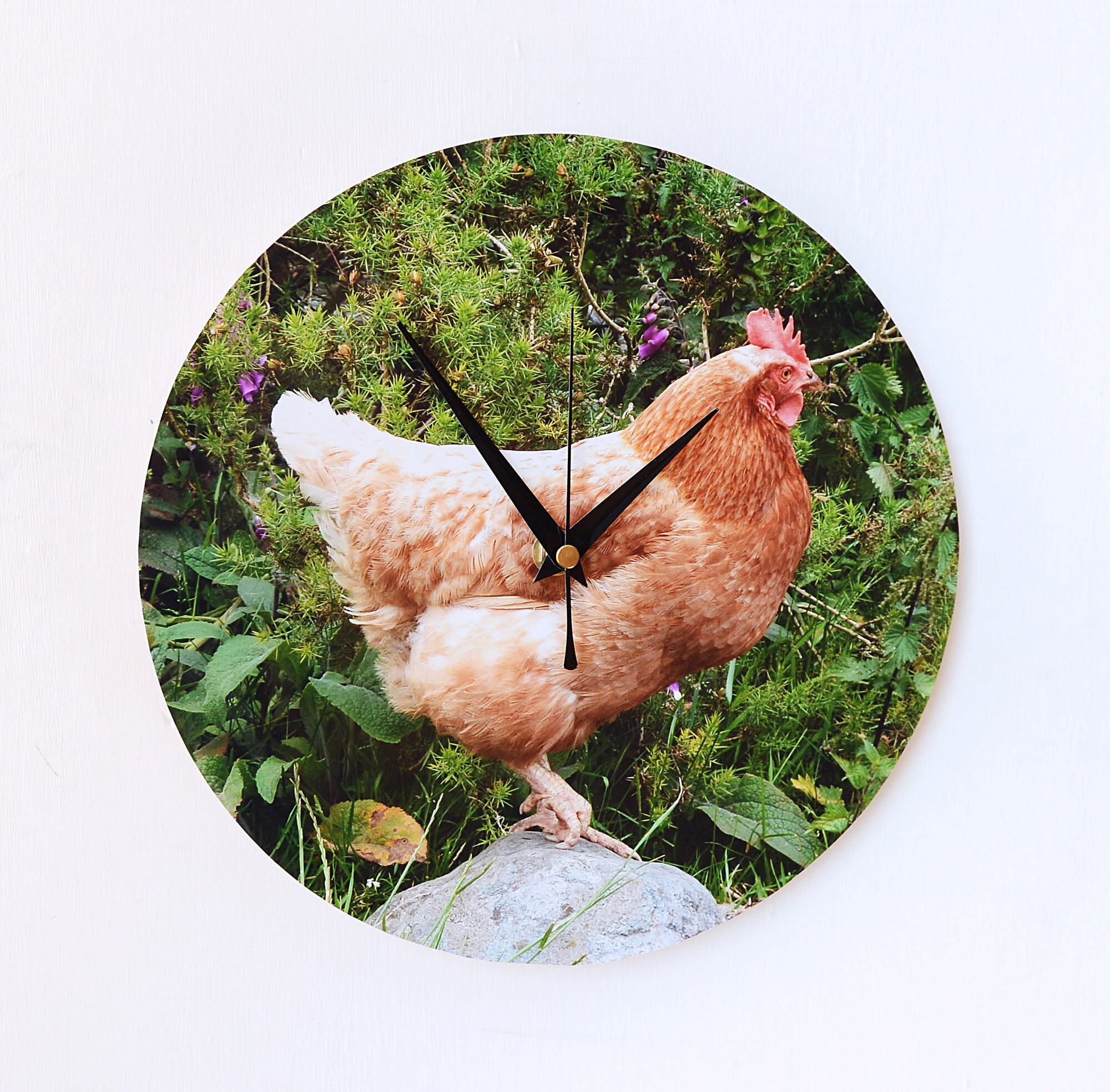 Chicken Wall Clock Photo Wall Clock Hen Clock Farm | Etsy