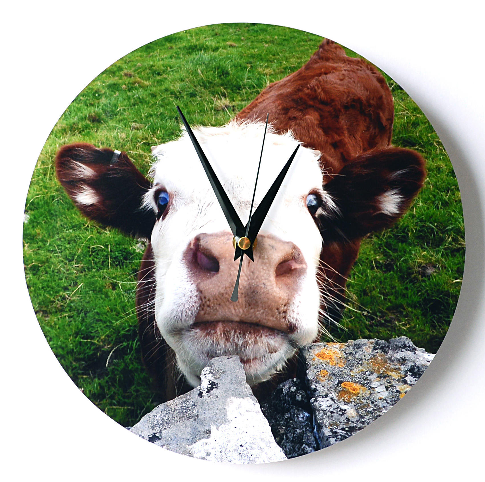 Cow Wall Clock Decoupage Photo Clock Brown Calf Clock | Etsy