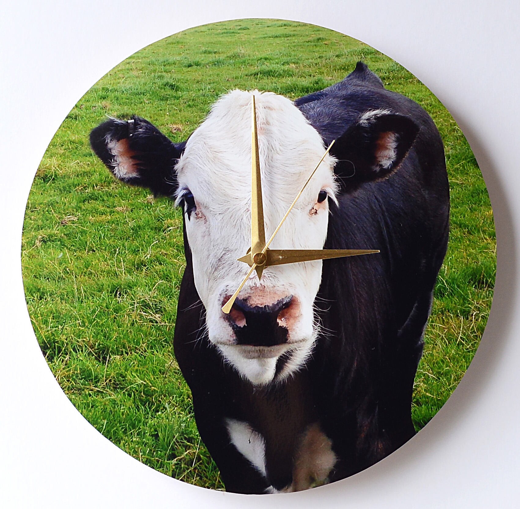 Cow Wall Clock Decoupage Photo Clock Black Calf Clock - Etsy UK