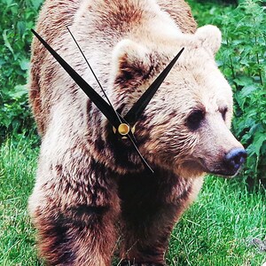 Bear Wall Clock - Decoupage Photo Clock - Brown Bear Clock - Wild ...