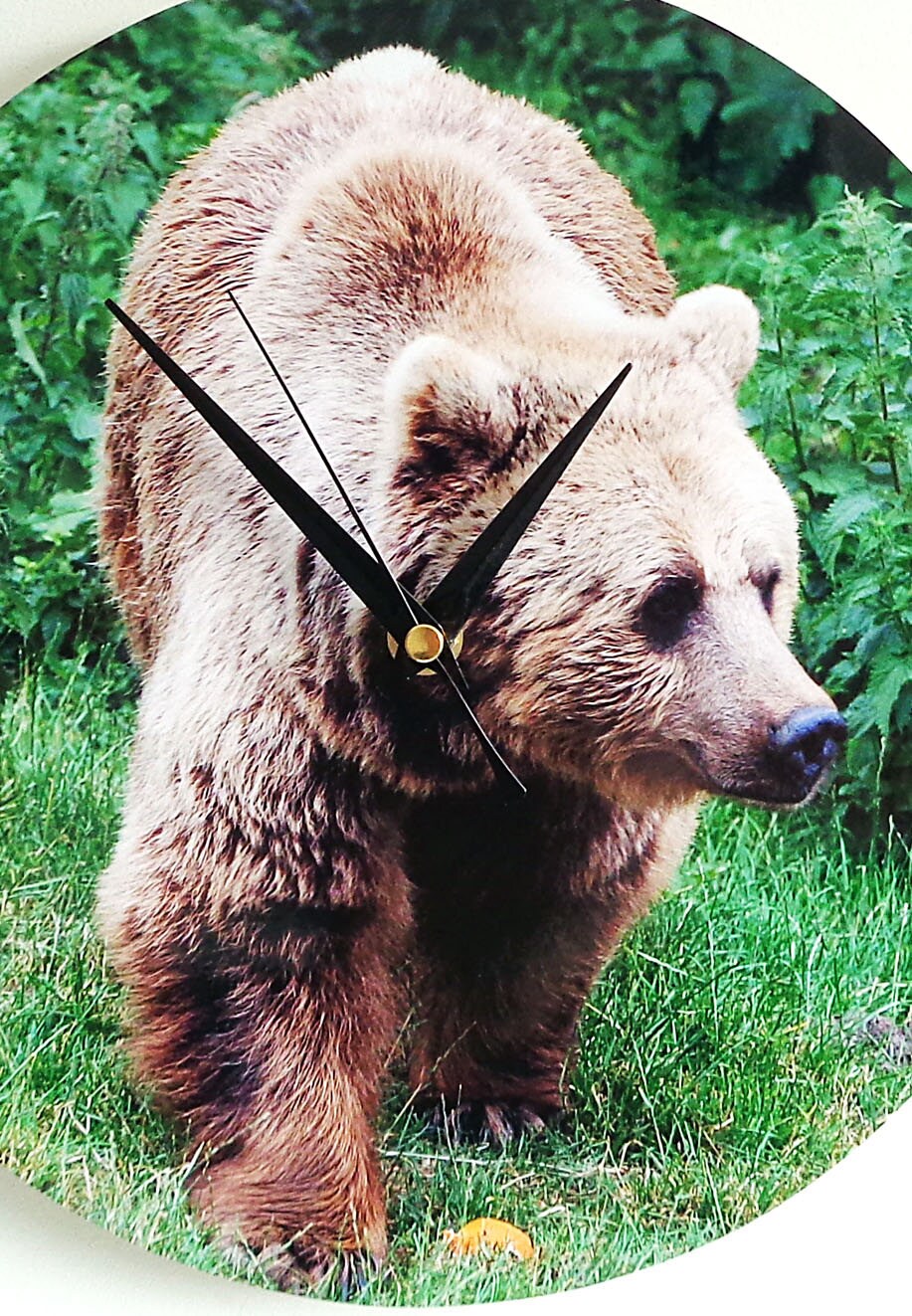 Bear Wall Clock - Decoupage Photo Clock - Brown Bear Clock - Wild ...