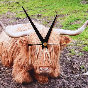 Highland Cow Wall Clock - Decoupage Photo Clock - Highland Coo ...