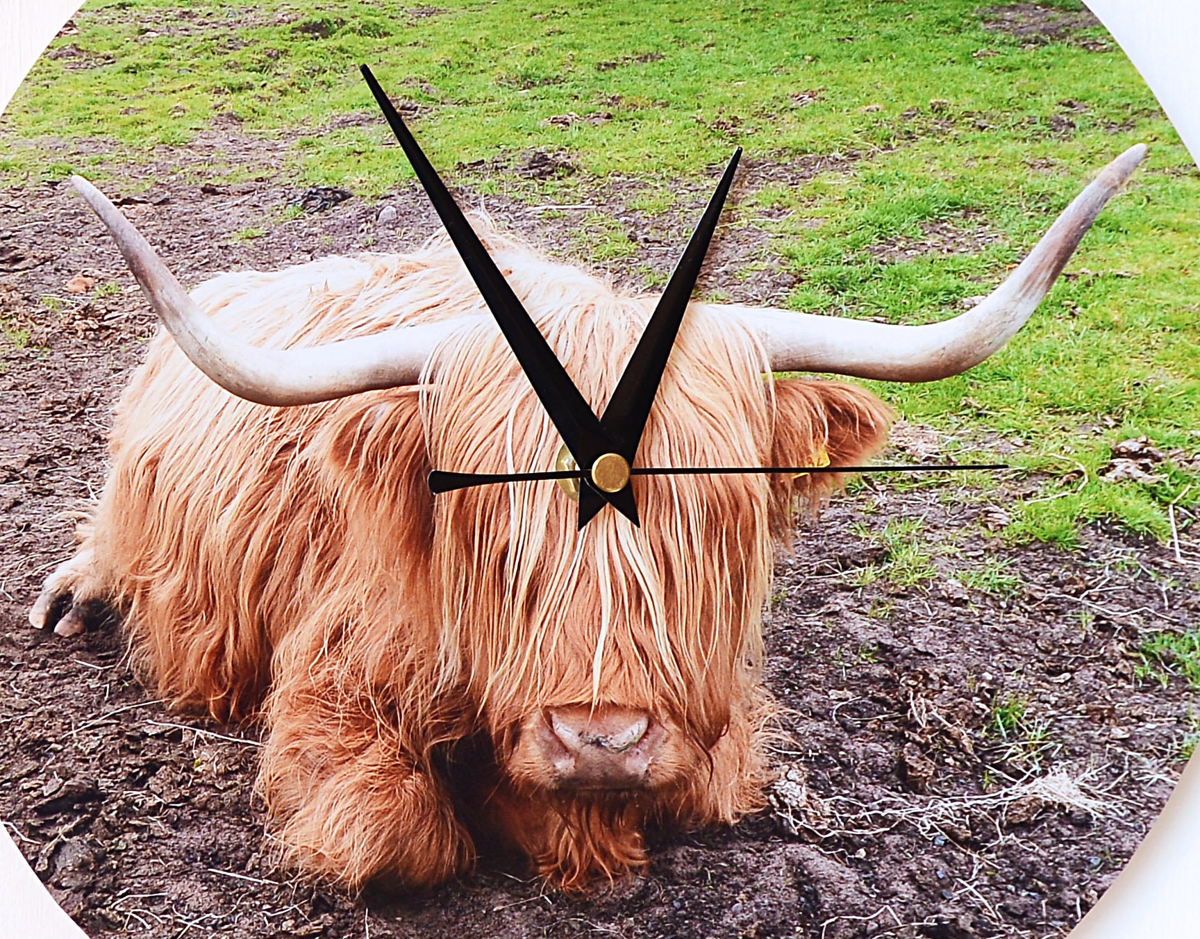 Highland Cow Wall Clock Decoupage Photo Clock Highland Coo | Etsy UK