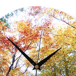 Woodland Clock - Autumn Trees Clock - Autumn Leaves - Photo Wall Clock ...