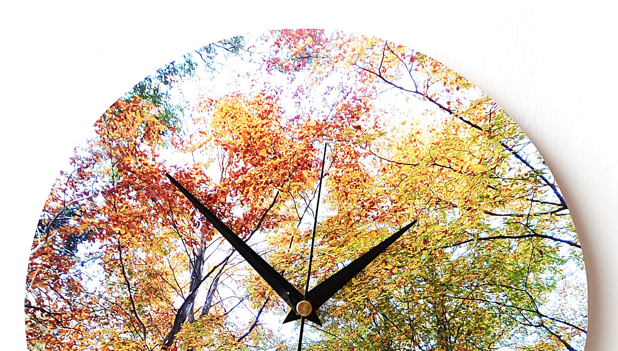 Woodland Clock Autumn Trees Clock Autumn Leaves Photo - Etsy UK