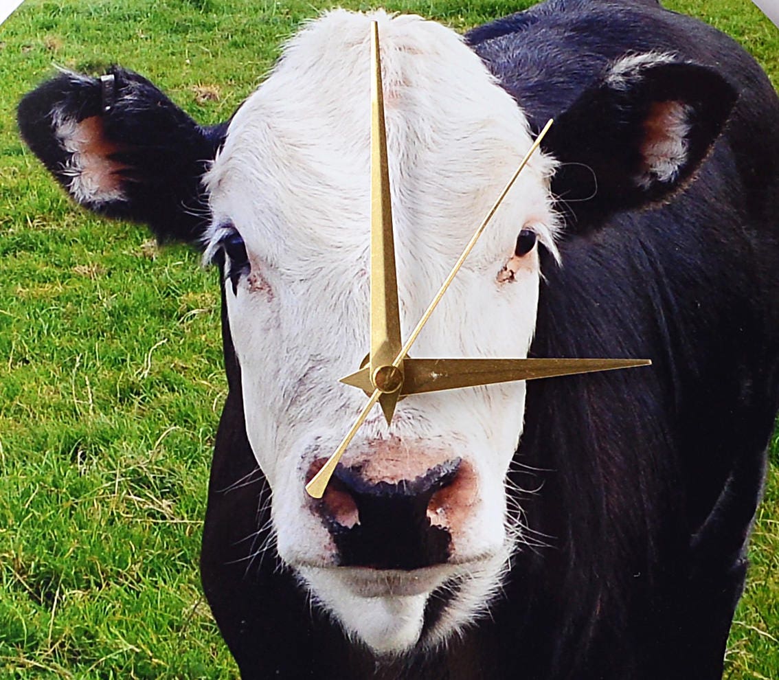 Cow Wall Clock Decoupage Photo Clock Black Calf Clock - Etsy UK