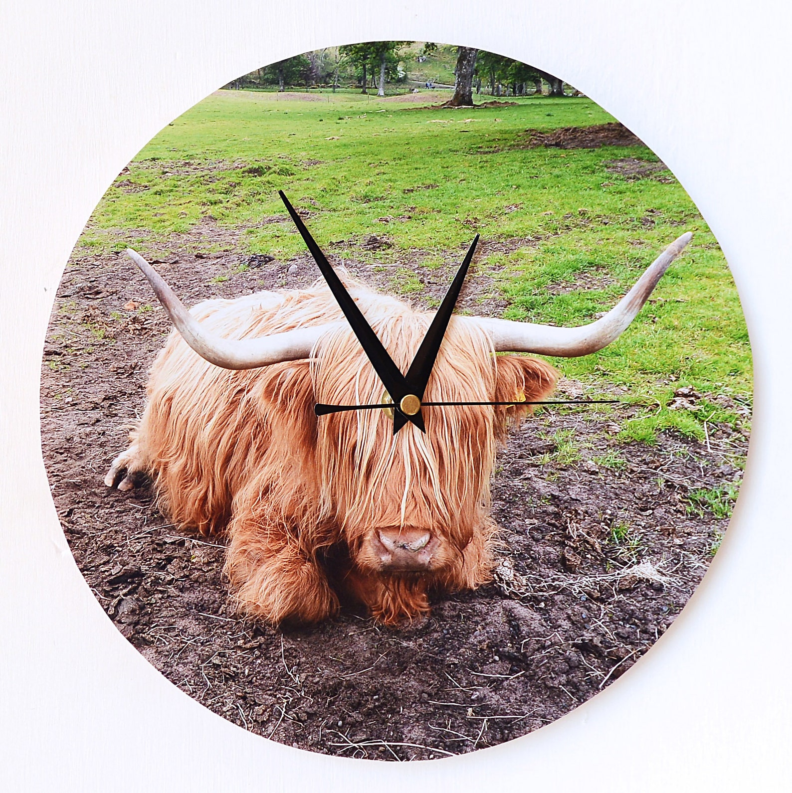 Highland Cow Wall Clock Decoupage Photo Clock Highland Coo - Etsy