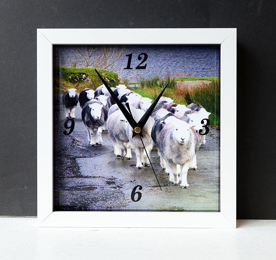 Sheep Wall Clock - Herdwick Sheep Photo Clock - Herdwick Flock Clock ...
