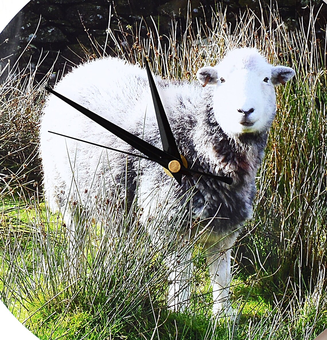 Sheep Wall Clock Decoupage Photo Clock Herdwick Sheep - Etsy