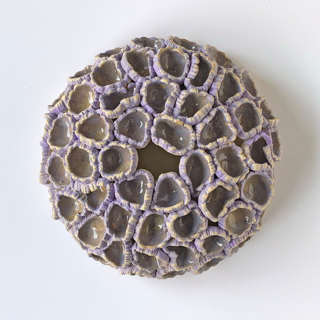 Coral Doughnut Ceramic Wall Sculpture - Etsy
