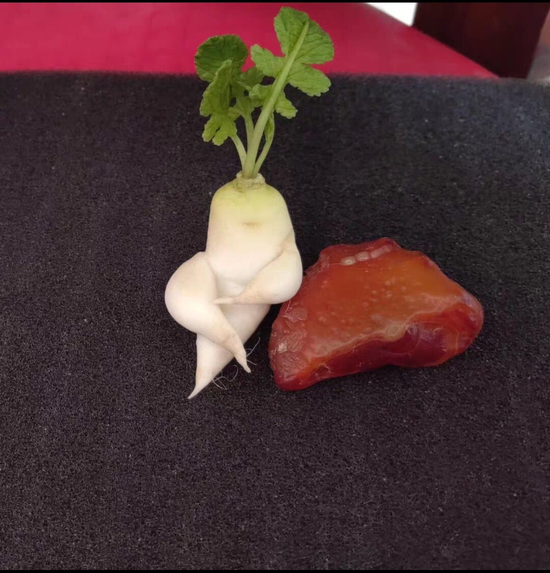 Handcrafted Resin Clay Radish Sprite Refrigerator Magnet, Funny Radish ...