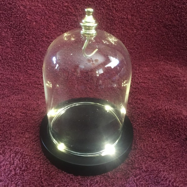 Glass Dome Display - Etsy