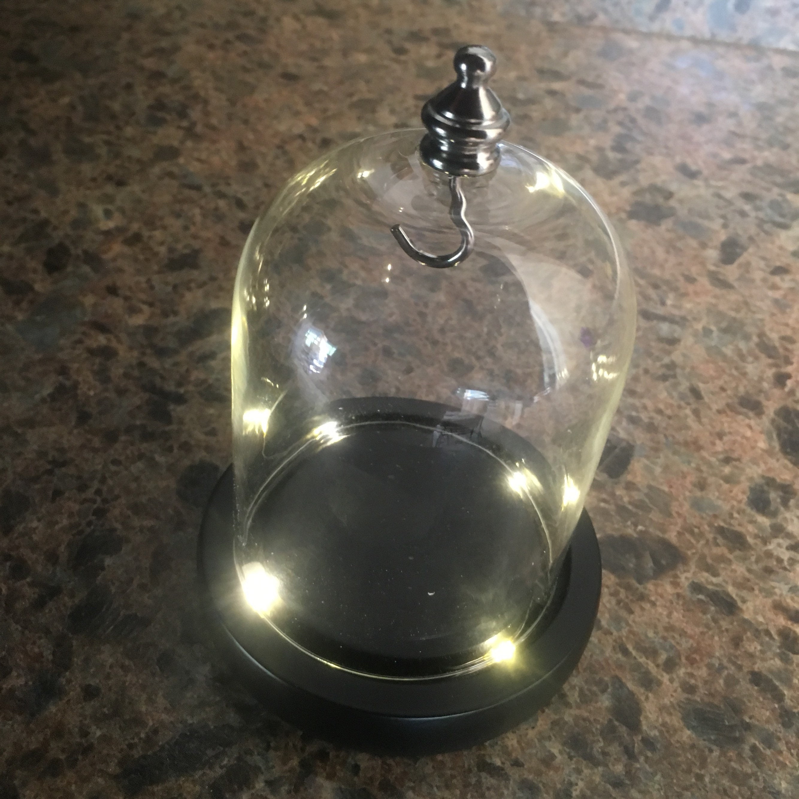 Lighted Display Dome - Etsy