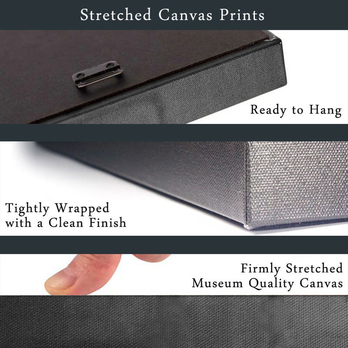 Cat Photo Print. Cat Photography. Photo Print Wall Art. Square Format ...