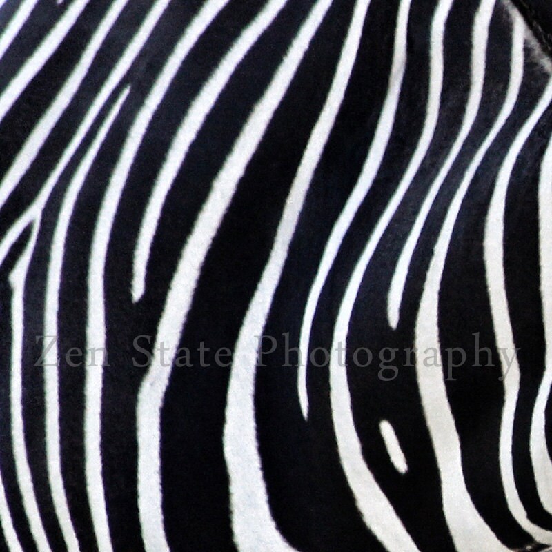 Black And White Zebra Print