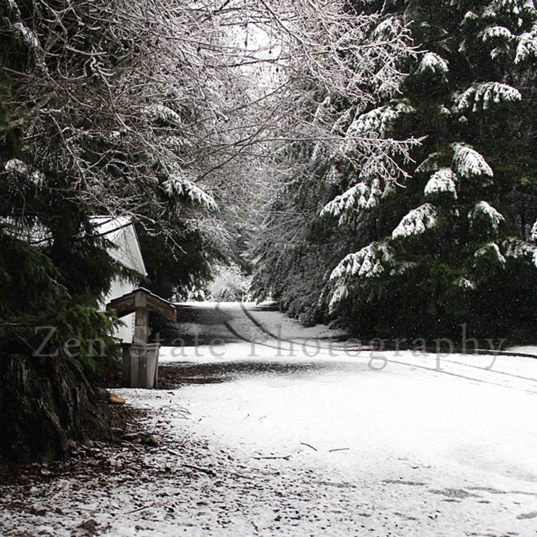 Winter Landscape Photo. Snow Photo Print. Nature Photography Print ...