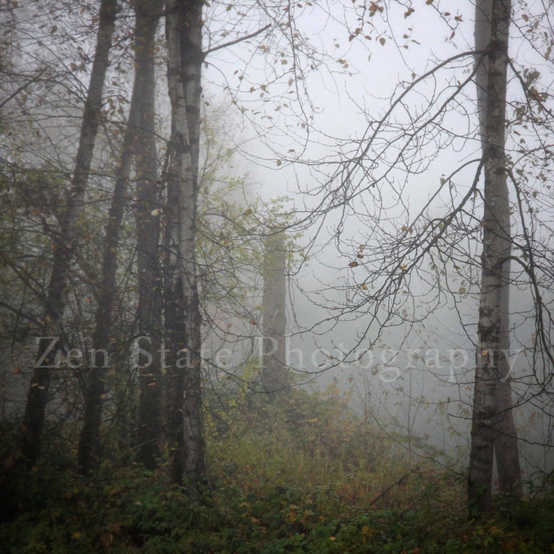 Fog Photo Print. Forest Photography Print. Nature Photography. Forest ...