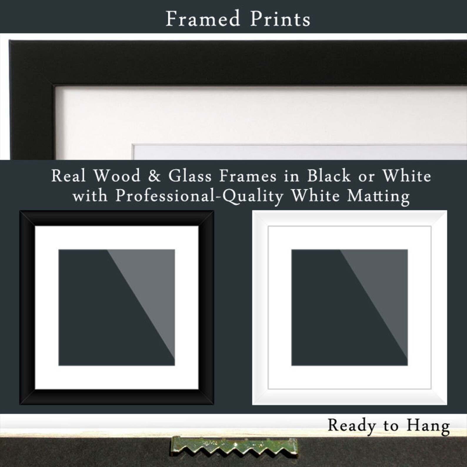 Cat Photo Print. Cat Photography. Photo Print Wall Art. Square Format ...