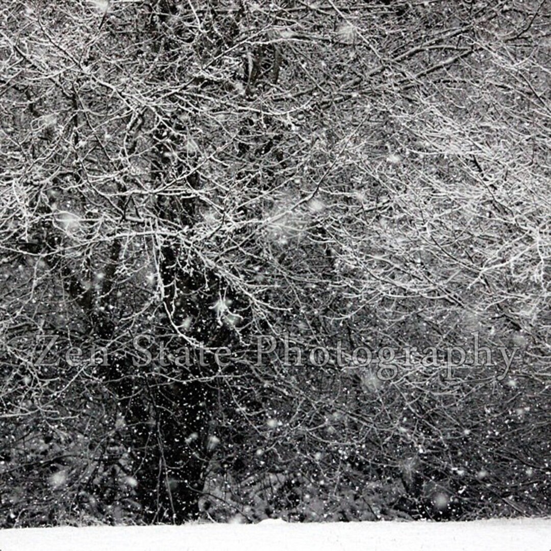 Winter Photo. Nature Print. Snow Photography Print. Winter Landscape ...