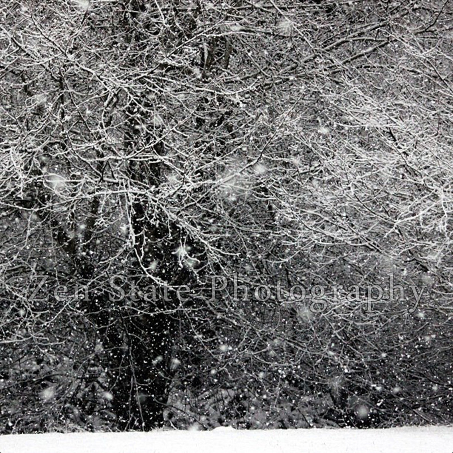 Winter Photo. Nature Print. Snow Photography Print. Winter Landscape ...