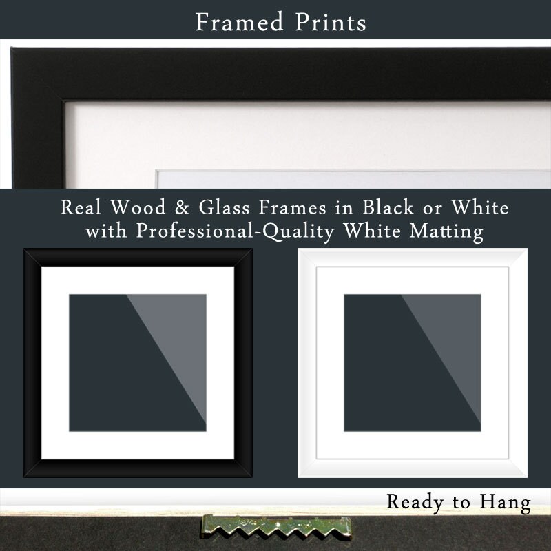 Winter Snow Photography. Landscape Photo Print. Nature Photography ...