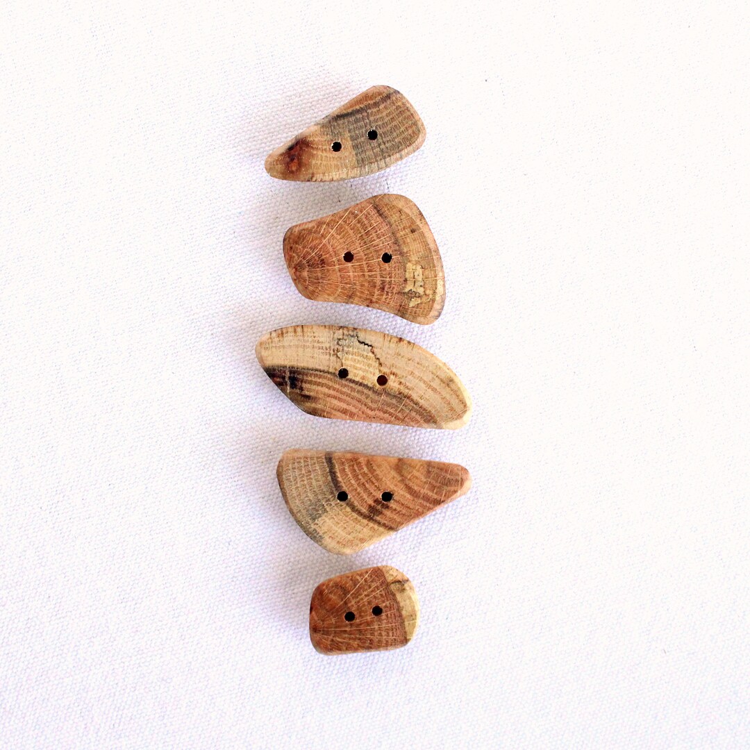 5 Canadian Buttons, Hardwood Buttons, Medium Hardwood Buttons, Tree ...