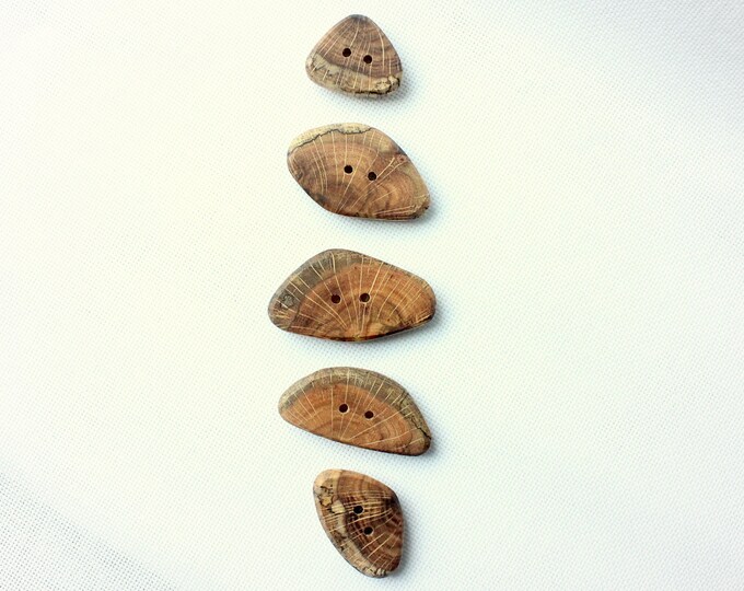 5 Canadian Oak Wood Buttons, Hardwood Buttons, Medium Oak Buttons, Tree ...