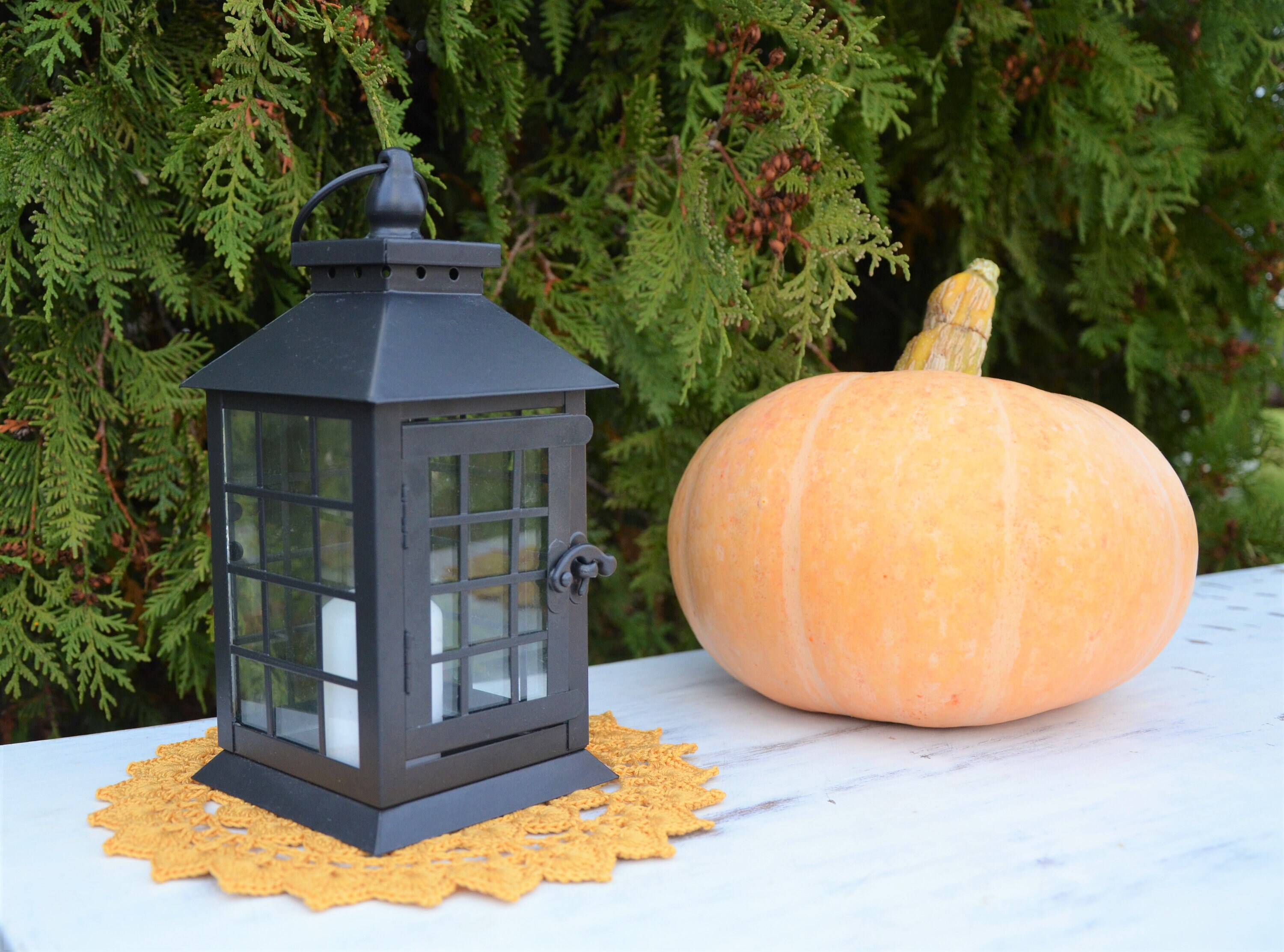 Mustard Lace Doily Fall Table Decor Mustard Cotton Doilies - Etsy
