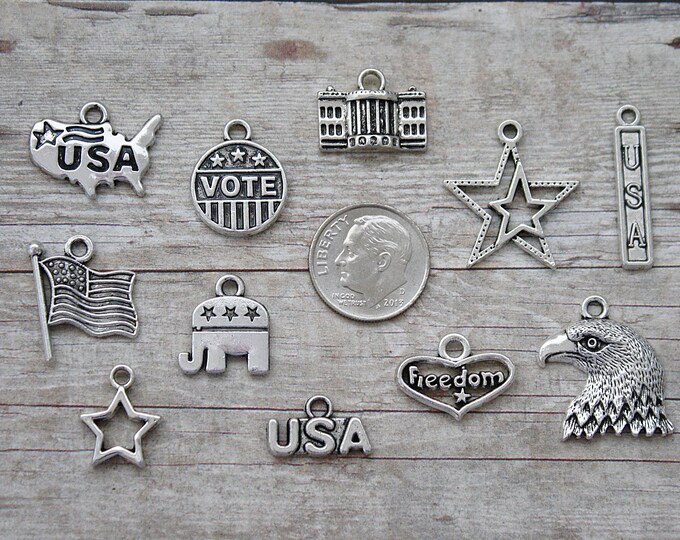 11pc or 5pc Voting Republican Charm Set Lot Collection /jewelry ...