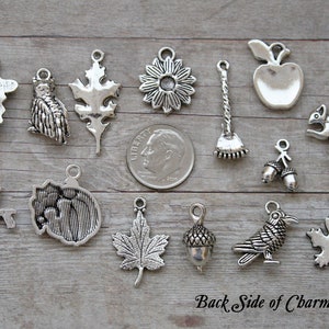 14pc or 5pc Fall Season Charm Set Lot Collection /jewelry, Scrapbooking ...
