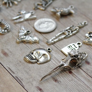 13pc or 5pc Gothic / Goth Charm Set Lot Collection / Jewelry ...
