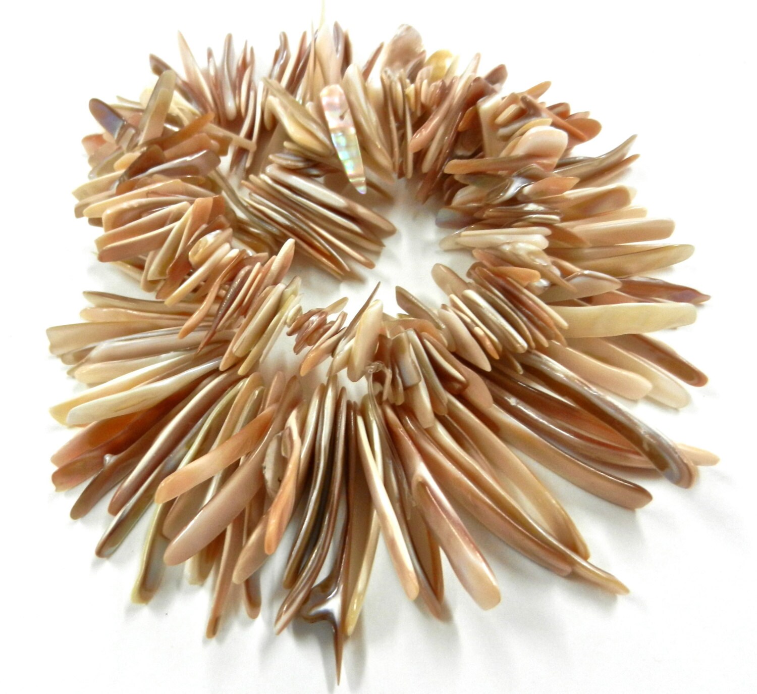 Graduated Shell Slices Strand in Iridescent Pinks Cream | Etsy