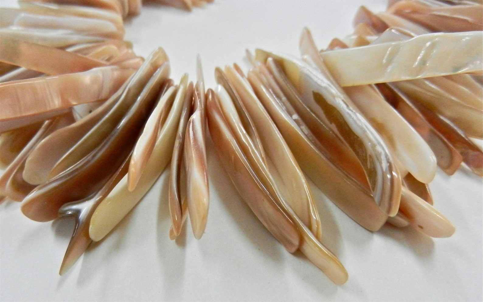 Graduated Shell Slices Strand in Iridescent Pinks Cream - Etsy