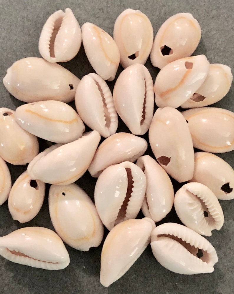Vintage 25 Piece Lots Of White With Pale Yellow Cowrie Shells | Etsy