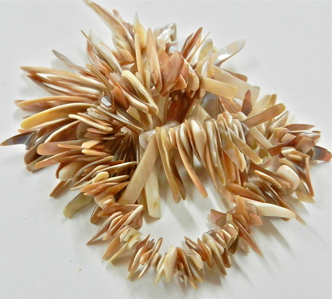 Graduated Shell Slices Strand in Iridescent Pinks, Cream, Gold, and ...