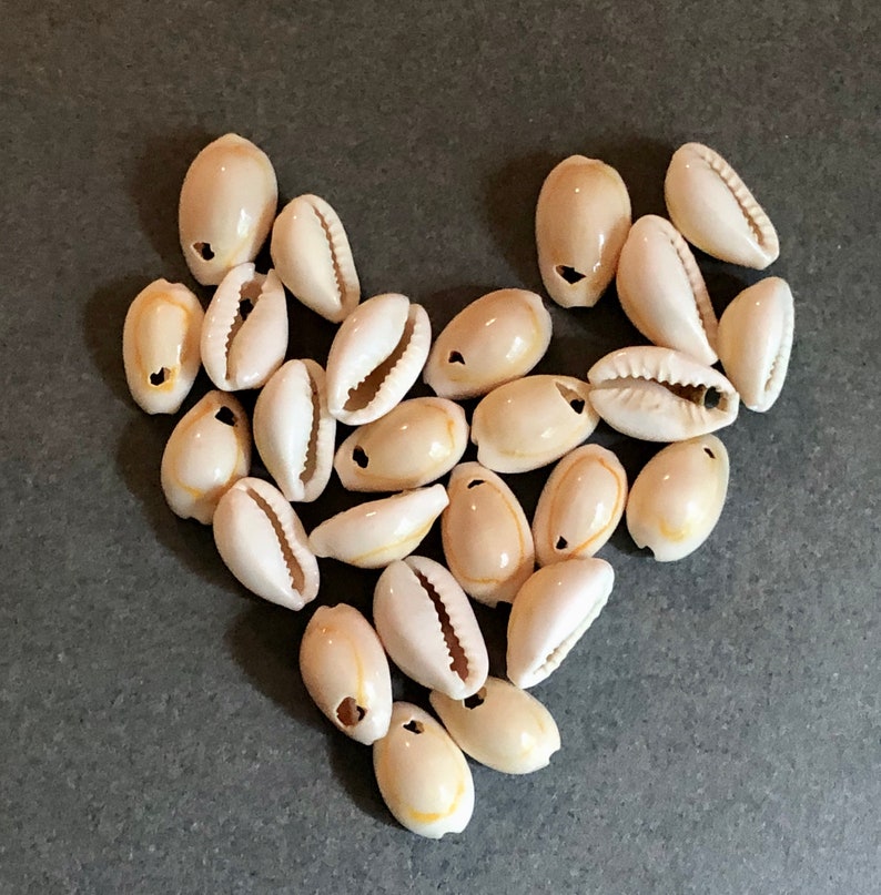 Vintage 25 Piece Lots of White With Pale Yellow Cowrie Shells - Etsy