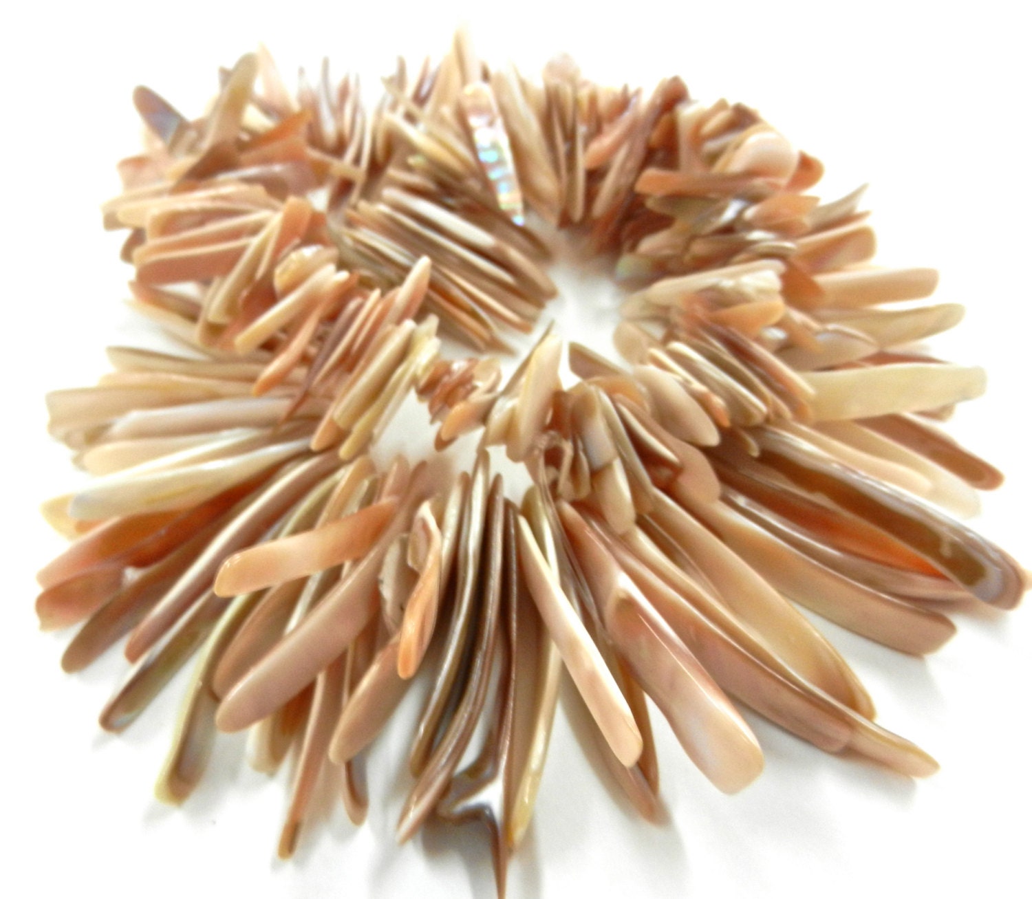 Graduated Shell Slices Strand in Iridescent Pinks Cream | Etsy