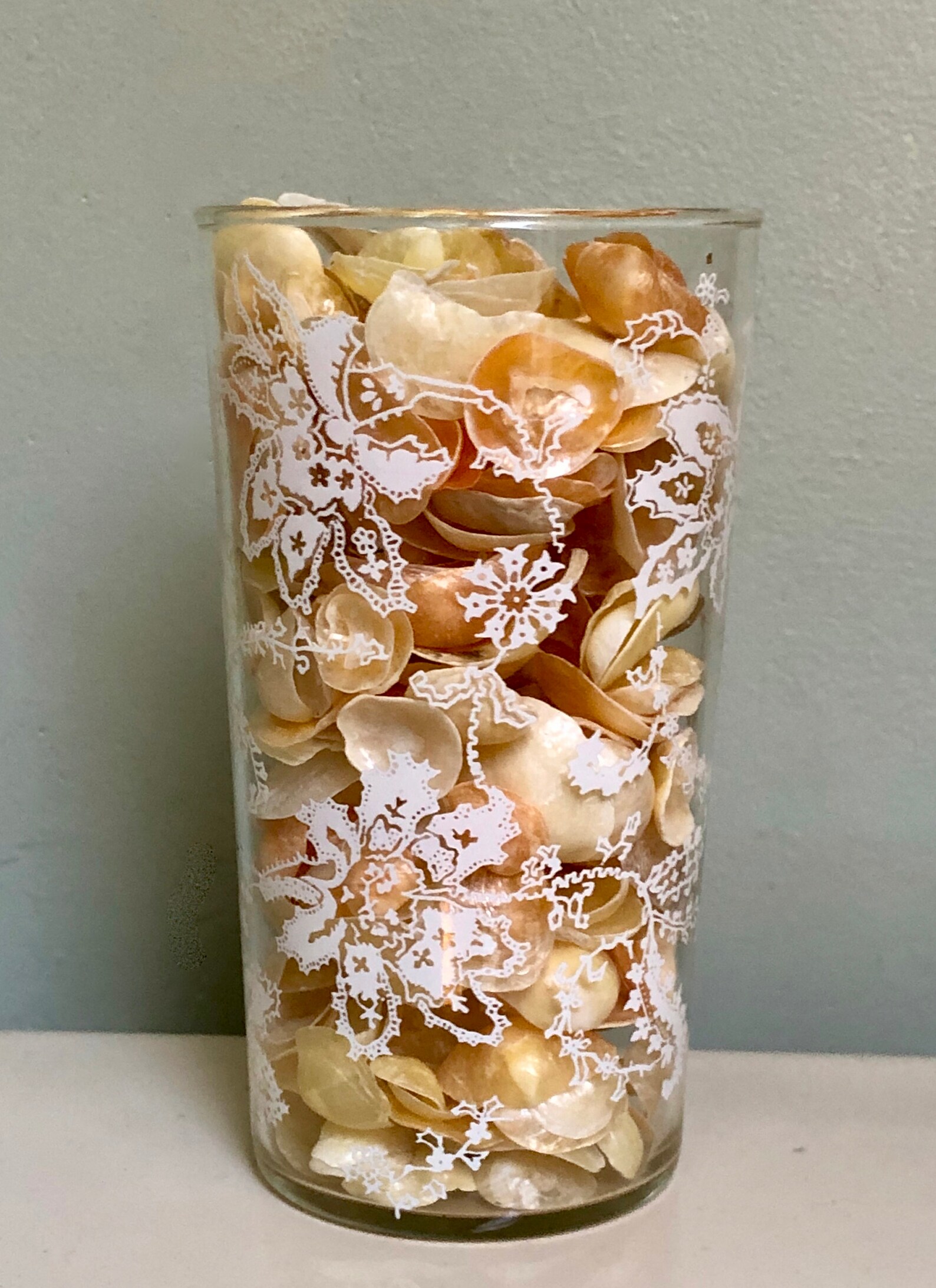 Bulk Lot of Jingle Shells anomia Simplex 6 Ounce Mixed - Etsy