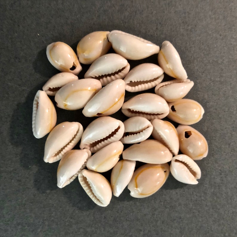 Vintage 25 Piece Lots Of White With Pale Yellow Cowrie Shells | Etsy