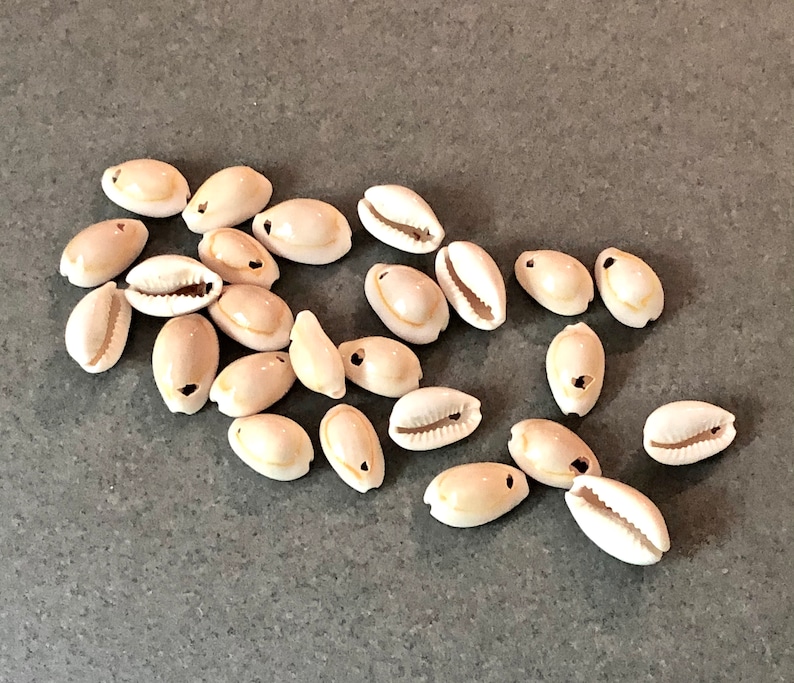 Vintage 25 Piece Lots Of White With Pale Yellow Cowrie Shells | Etsy