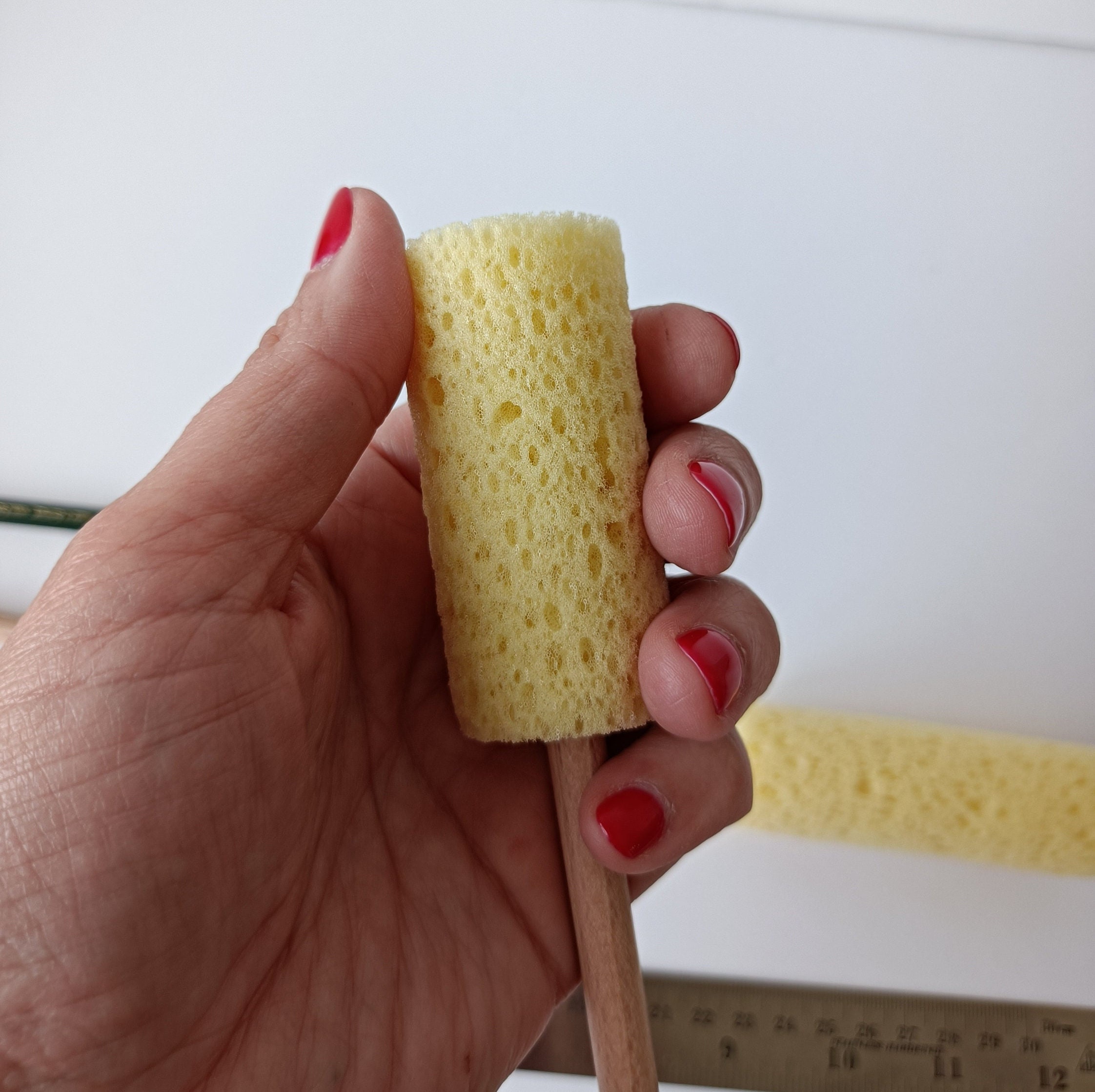 Long Stick Round Sponge for Ceramics Two Sponge Sizes - Etsy
