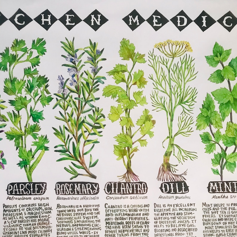 KITCHEN MEDICINE POSTER - Etsy