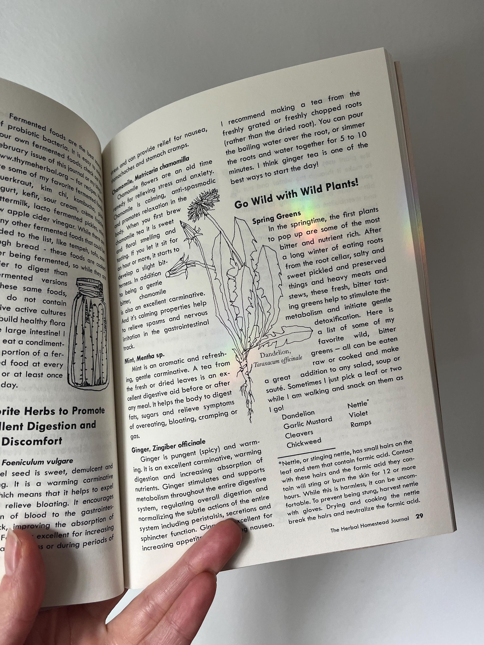 Herbal Homestead Journal Book - Etsy