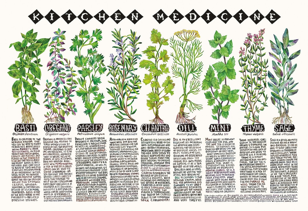 Kitchen Herbs Poster Print - Etsy